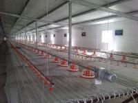 China 2kg-4Kg / Time Automatic Broiler Feeding System Poultry Farm Feeding System for sale