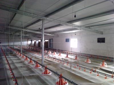 China 2.2KW Automatic Broiler Feeding System Pan Feeder Poultry For Farms for sale