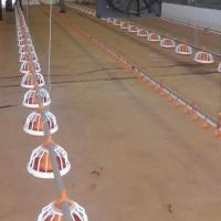 China Broiler Feeding Pan Poultry Drinking Line Nipple Drinker For Quail for sale