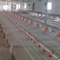 China Broiler Feeding Pan Poultry Drinking Line Nipple Drinker For Quail for sale