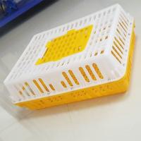 China Plastic baskets for poultry turnover（Red ，Orange，yellow ） for sale