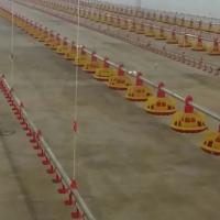 China Floor Automatic Broiler Feeding System Pan Feeder Nipple System In Poultry for sale