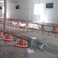 China Floor Automatic Broiler Feeding System Pan Feeder Nipple System In Poultry for sale