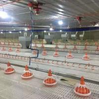China Floor Automatic Broiler Feeding System Pan Feeder Nipple System In Poultry for sale