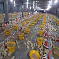 China 3kg 6kg 8kg Plastic Poultry Feeder Chicken Feeding Line Parts Yellow Red for sale