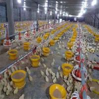 China 3kg 6kg 8kg Plastic Poultry Feeder Chicken Feeding Line Parts Yellow Red for sale