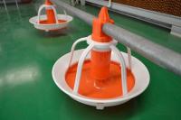 China Chicken Farm Accessories Poultry Feeding Pan Quail Farming Equipment for sale