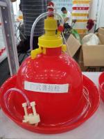 China Automatic poultry pigeon dove feeder for chicken turbo feeder bucket chick manual bird for sale