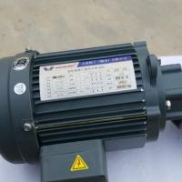 China 380V 50HZ 220V 60HZ Poultry Feeding System Motor Single Three Phase for sale