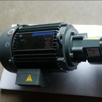 China 380V 50HZ 220V 60HZ Poultry Feeding System Motor Single Three Phase for sale