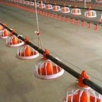 China Automatic Broiler Feeder Poultry Feeding Pan Poultry Farm Accessories for sale