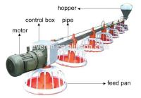 China Automatic Broiler Feeder Poultry Feeding Pan Poultry Farm Accessories for sale
