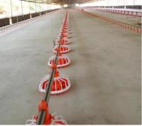 China Automatic Chicken Poultry Equipment Chicken Feeding Line 50-100kg/H for sale