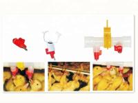 China Geese 304 SS ABS Poultry Drip Drinkers Automatic Chicken Watering System for sale