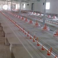 China Automatic Water Bowl For Chickens Poultry Drinking Line Parts Stainless for sale