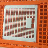 China Pure PE Poultry Carrier Crate Chicken Transport Cage Customized for sale