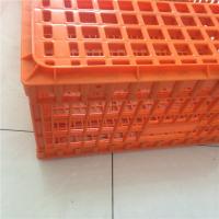 China Plastic crates for the transfer of chickens for sale