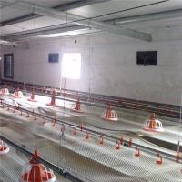 China 20kg Poultry Auger Feeder Chicken Feeding Line For Farm Hens for sale