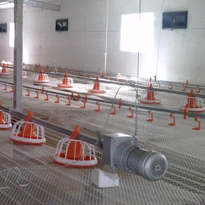 China 20kg Poultry Auger Feeder Chicken Feeding Line For Farm Hens for sale