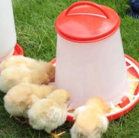 China Poultry Drinking Chicken Feeding Line 1kg-20kg Broiler Automatic Feeder for sale
