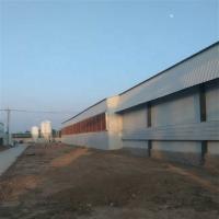 China Automatic Quail Feeding and Drinking System For Poultry House Equipment, Poultry Feeder For Broiler and Breeder for sale