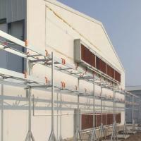 China Automatic Quail Feeding and Drinking System For Poultry House Equipment, Poultry Feeder For Broiler and Breeder for sale