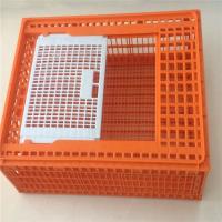 China Broiler Poultry Carrier Crate Farming Plastic Agricultural Crates for sale