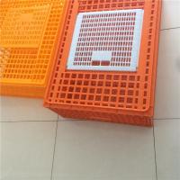 China Broiler Poultry Carrier Crate Farming Plastic Agricultural Crates for sale