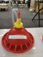 China Chicken Plasson Bell Drinker For Poultry Farm Plasson Drinker,Automatic Poultry Chicken Plasson Plastic Drinker for Hens for sale