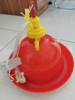 China Chicken Plasson Bell Drinker For Poultry Farm Plasson Drinker,Automatic Poultry Chicken Plasson Plastic Drinker for Hens for sale