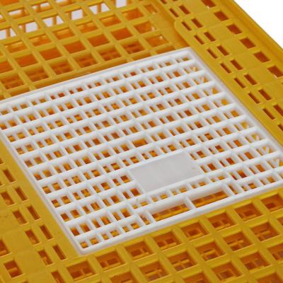 China Farm Plastic Poultry Transport Crates Yellow Chicken Carrier Cage for sale