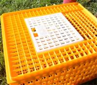 China Farm Plastic Poultry Transport Crates Yellow Chicken Carrier Cage for sale
