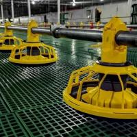 China Female Breeder Farm Equipment Drinkers and Feeders for Chickens Breeder Pan Feeding System Philippines 12 Years Provided for sale