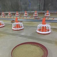 China Ss304 Poultry Automatic Drinkers Automatic Chicken Watering System for sale