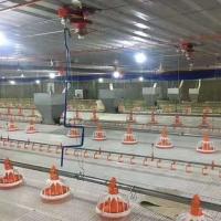 China Farms Automatic Poultry Feeder System Pan Feeder Poultry 99 Times for sale