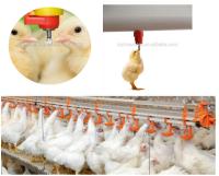 China Automatic Nipples Water Drinking system animal poultry poultry water line for chicken for sale