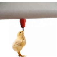 China Poultry Water Supplier Nipple Drinker Broiler Chicken Drinkers For Animal &Poultry Husbandry Equipment for sale