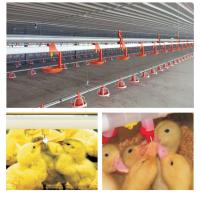China Animal&Poultry Husbandry Equipment Chicken Waters Automatic Poultry Nipple Drinking System for sale