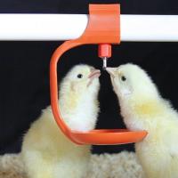 China Chicken Coop Watering System Poultry Drinking Line Parts Feeder Drinker for sale