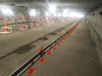China Automatic Feeding System For Poultry Chicken Feeding Line 10 Liters Capacity for sale