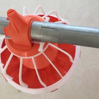 China Automatic Feeding System For Poultry Chicken Feeding Line 10 Liters Capacity for sale