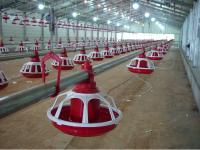 China Automatic Feeding System For Poultry Chicken Feeding Line 10 Liters Capacity for sale