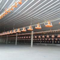 China Poultry Pan Feeding System Automatic Poultry Feeder System With Stern Shaft for sale