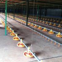 China Poultry Pan Feeding System Automatic Poultry Feeder System With Stern Shaft for sale