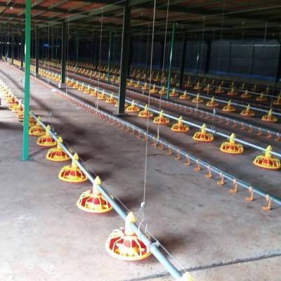 China Automatic feeding pan line poultry feeders and drinkers chicken for sale
