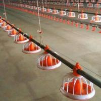 China Automatic feeding pan system Animal Feeders black soldier fly farm equipment for sale