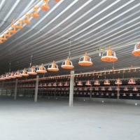 China Poultry Pan Feeding System Automatic Poultry Feeder System With Stern Shaft for sale
