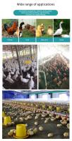 China 10KG 15KG Plastic Chicken Water Feeder Chicken Feeding Line Parts for sale