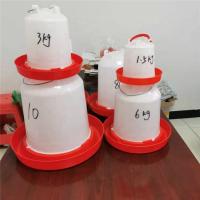 China 1.5kg 2.5kg 6kg 10kg poultry chicken feeders and drinkers for sale