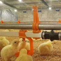 China Automatic Chicken Drinking Nipples Poultry Equipment For Broiler Chicken Farms for sale